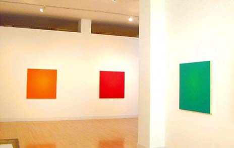 Paintings Colored By Illusion / Ruth Pastine's work on display at Haines
