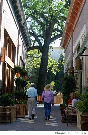 Kudos to a tree-hugger of a complex