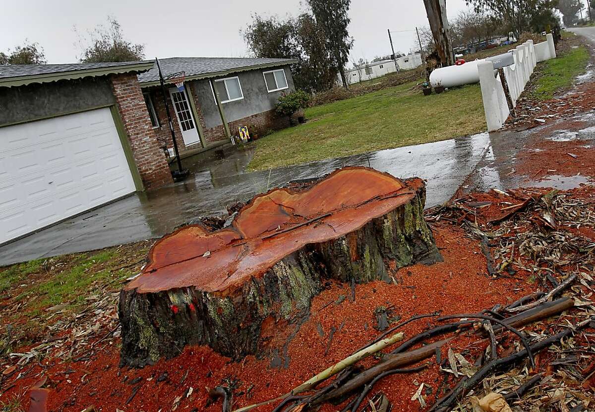 Speed Freak Killers put Linden CA in spotlight