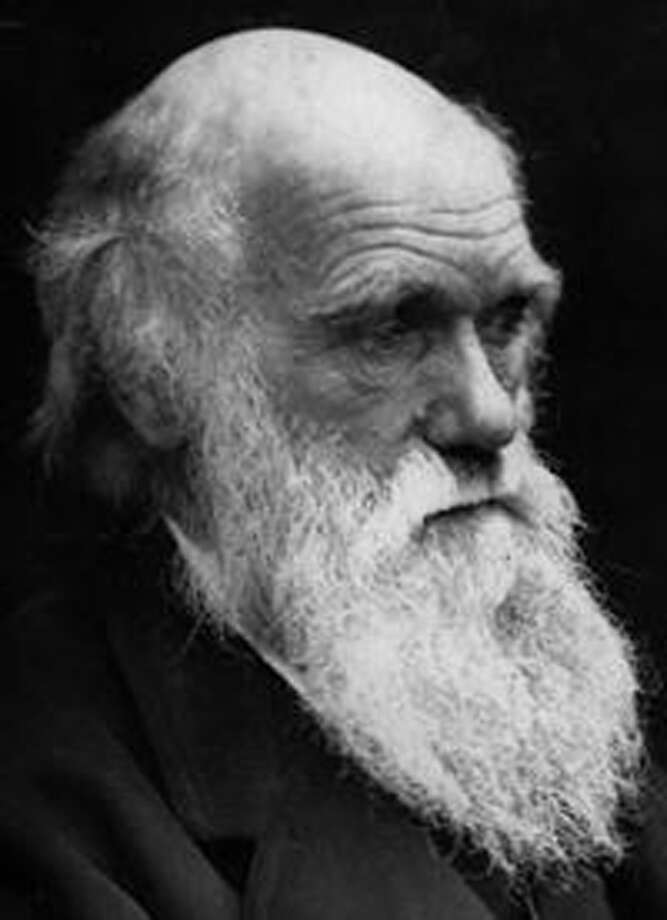 Darwin exhibit's size suits scope of his epic story - San Antonio ...