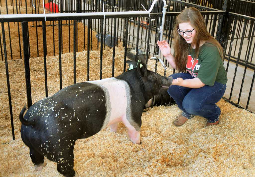 FFA barn reopens after fire