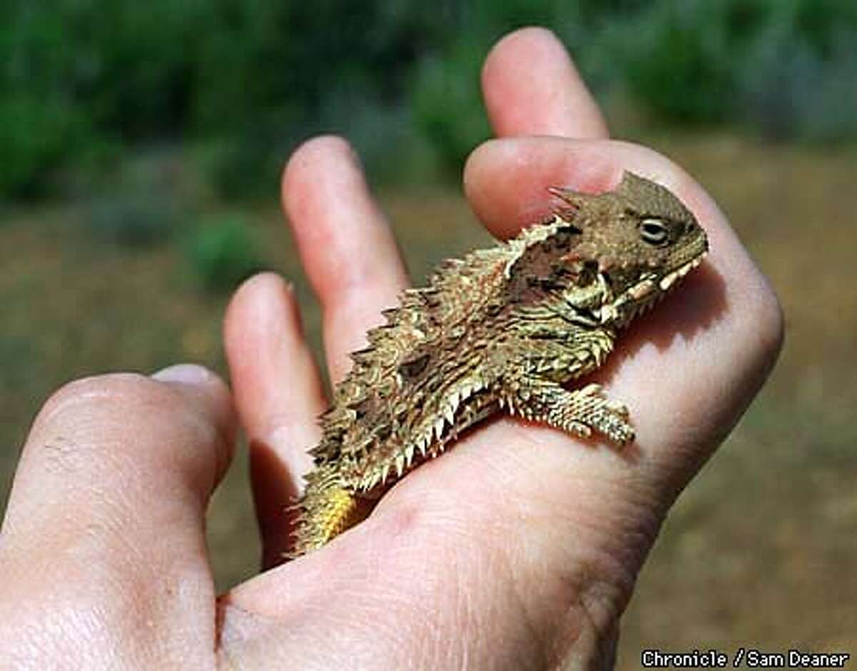 Park vs. Quarry / 40 acres of federal land near Mount Diablo face ...