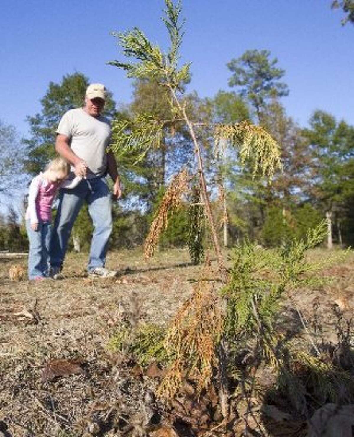 Lege should not waste 'a good drought,' water experts say