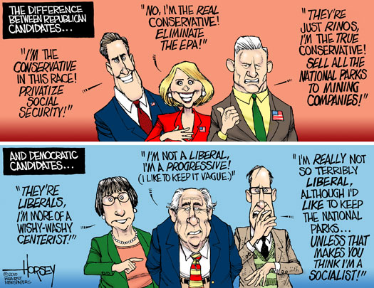 The difference between Republican and Democratic candidates