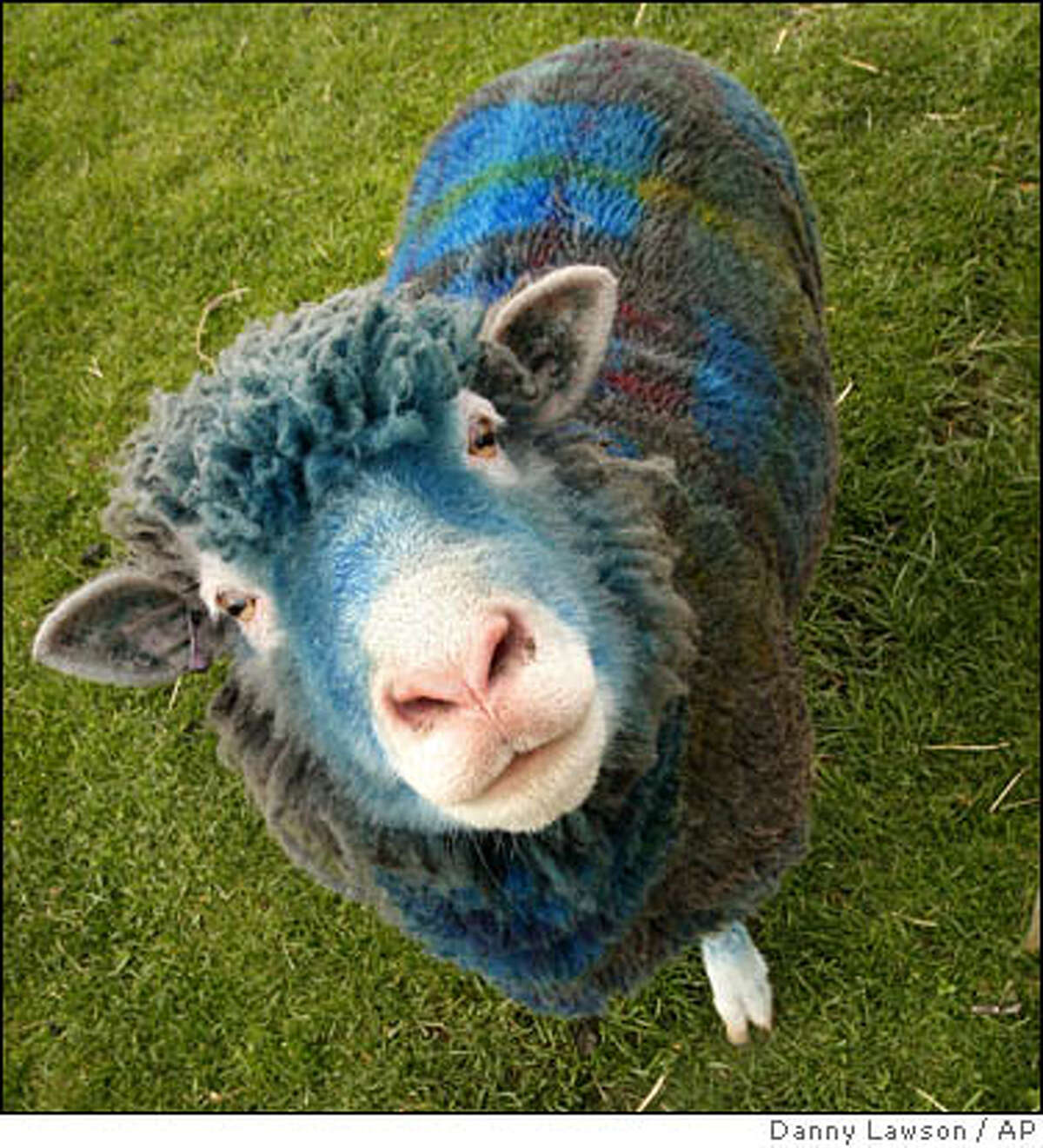 SFGate: Day in Pictures