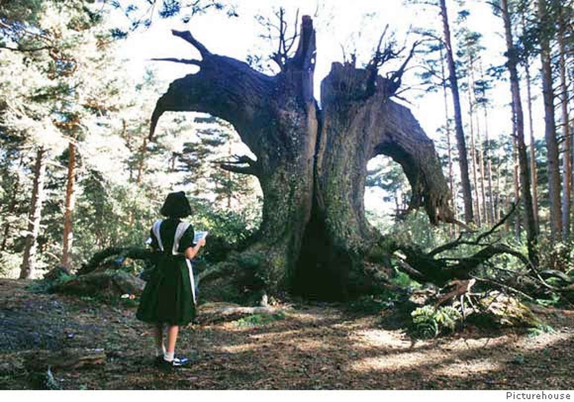 The horror of the underworld (and this world)