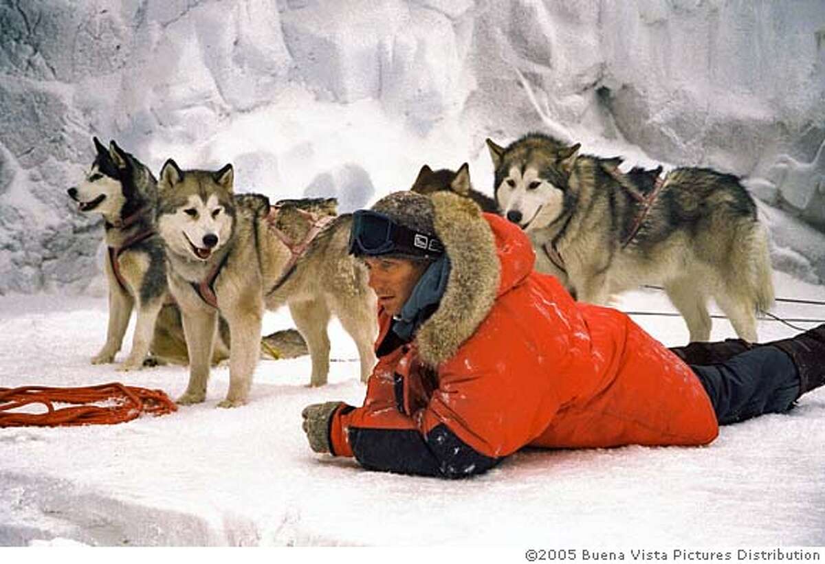 Man's 8 best friends get the cold shoulder