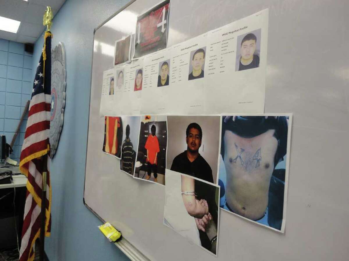 Seven Port Arthur gang members in custody after local 'crime spree'