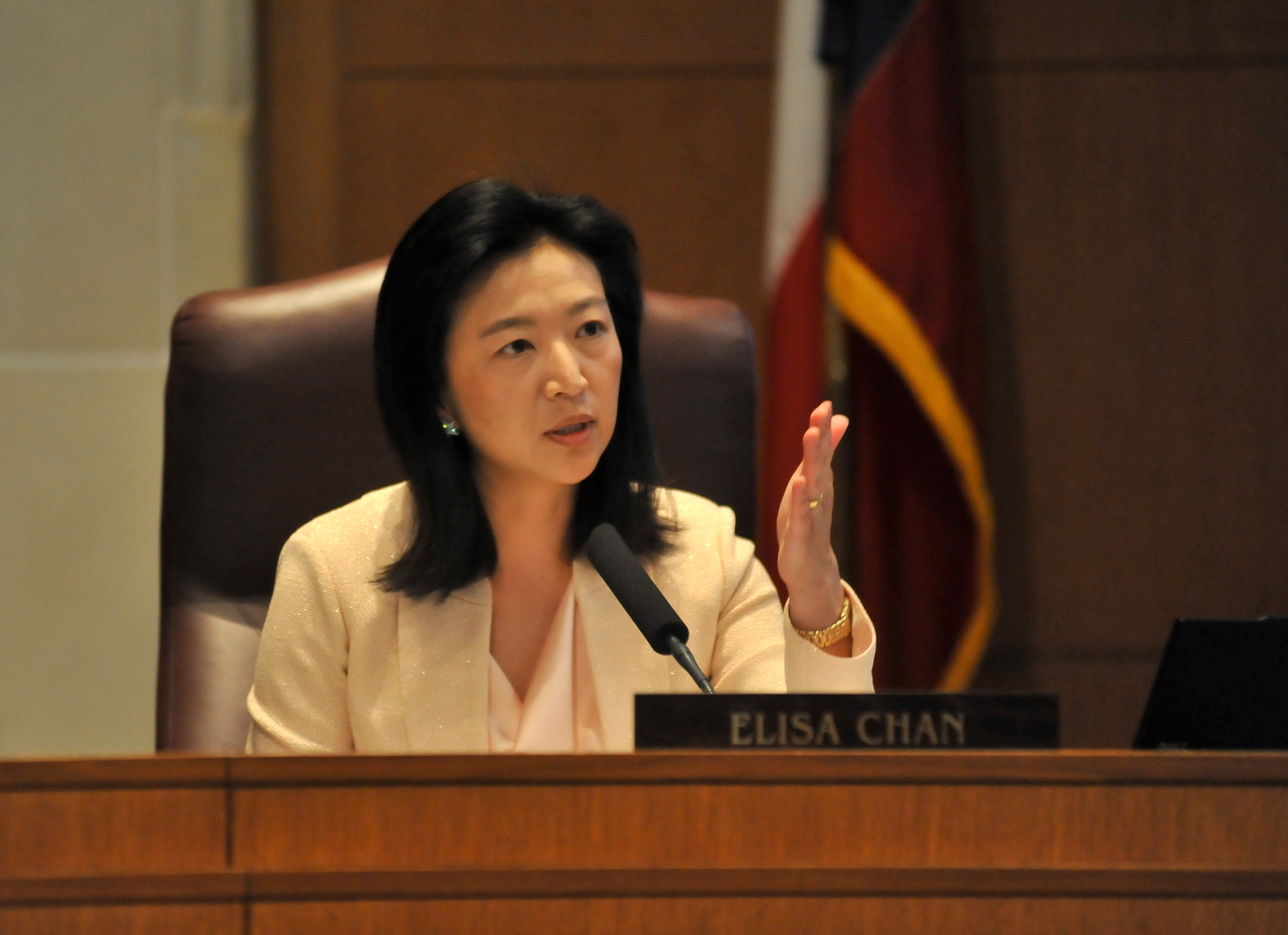 Elisa Chan shows why ordinance is needed