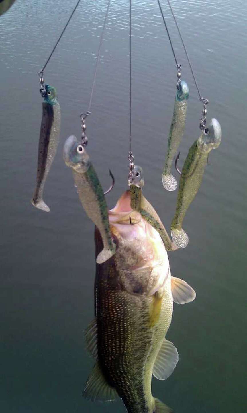 Outdoors: Alabama rig lure catches on with bass pros