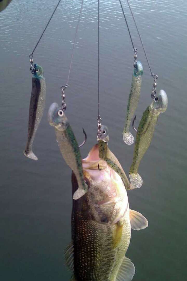Outdoors: Alabama rig lure catches on with bass pros