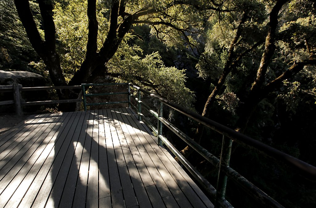 Rescue efforts for state parks