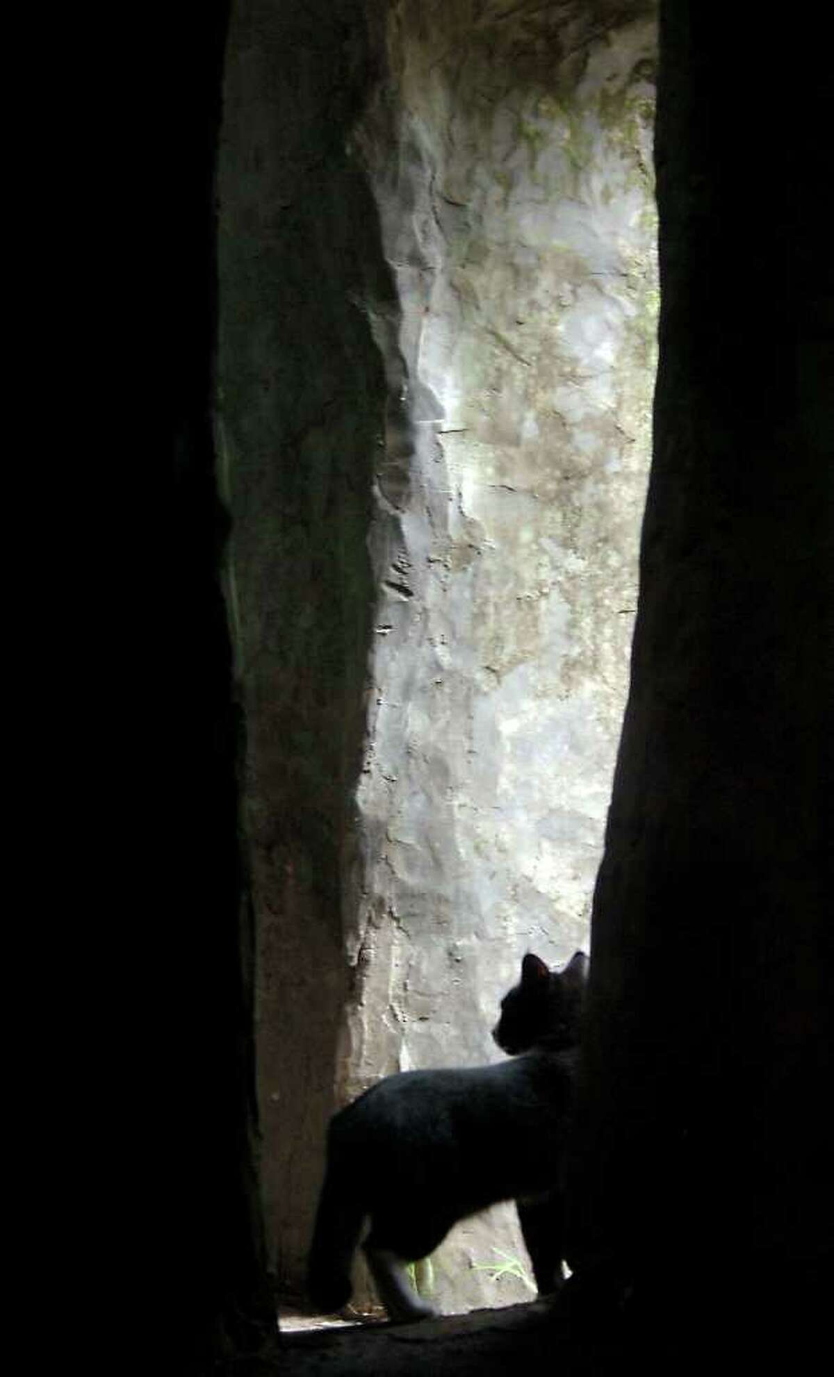 Local artist, sculptor Charlie Stagg dies