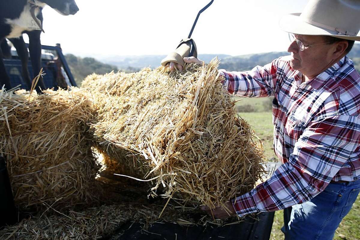 Cattle ranchers find themselves alone on the range