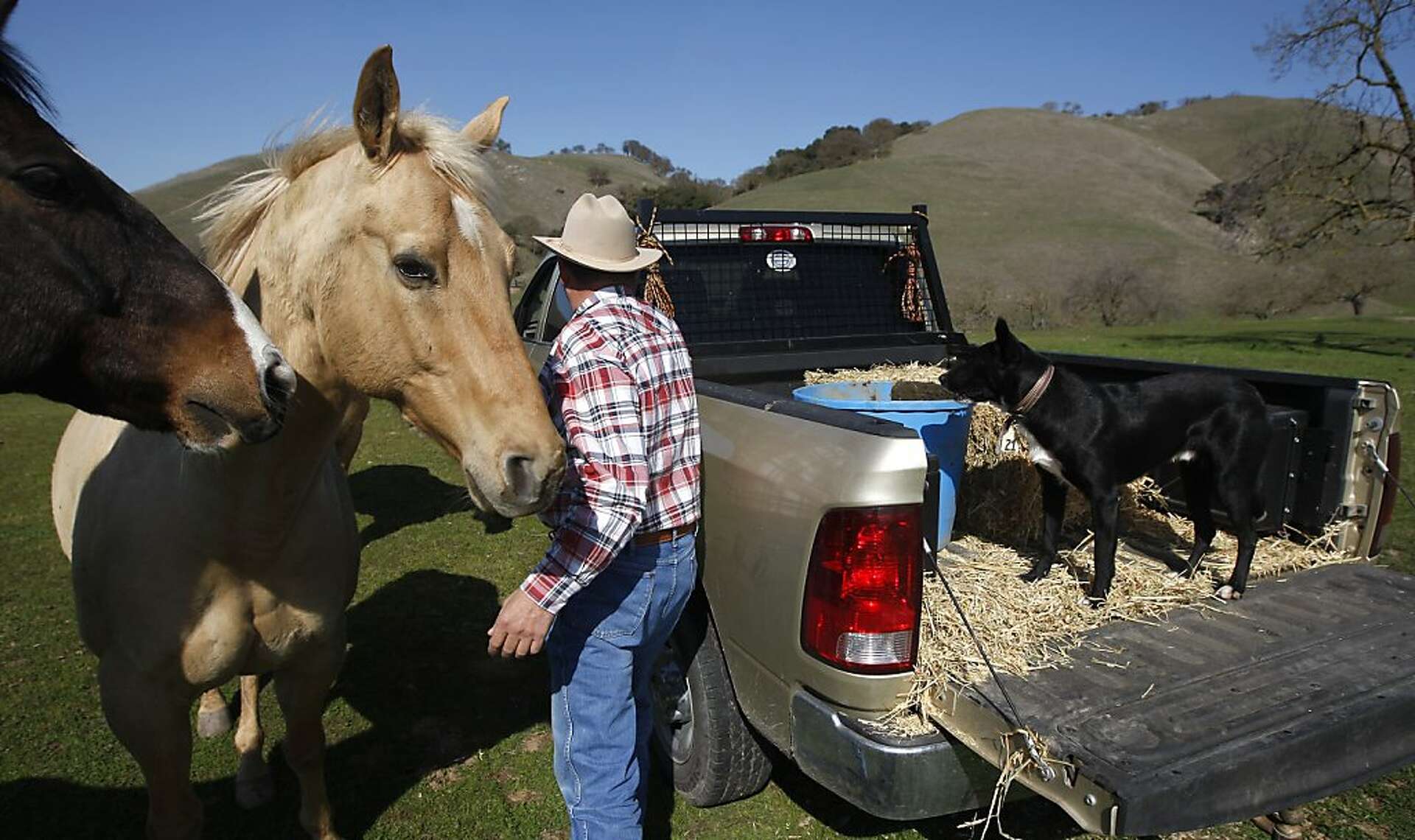 Cattle ranchers find themselves alone on the range