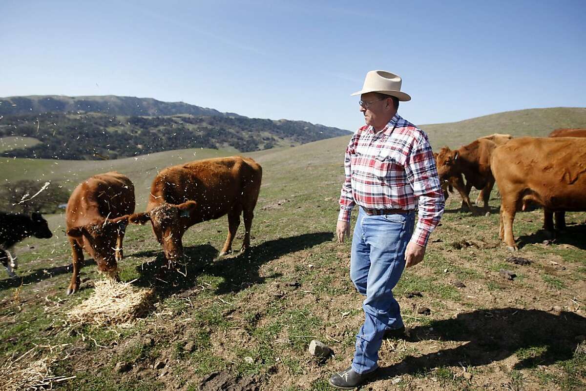 Cattle ranchers find themselves alone on the range