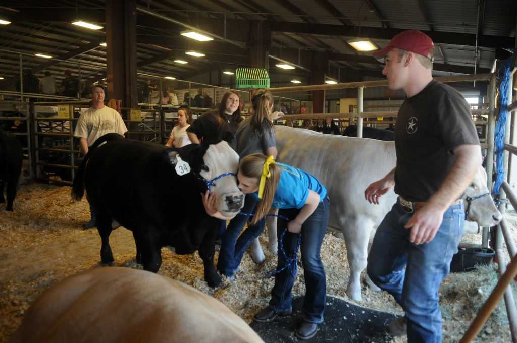 Livestock draws a record crowd for Tomball FFA