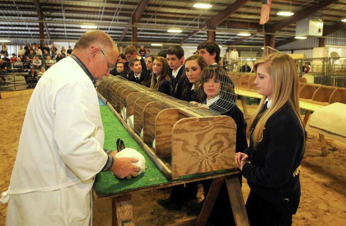 Livestock draws a record crowd for Tomball FFA