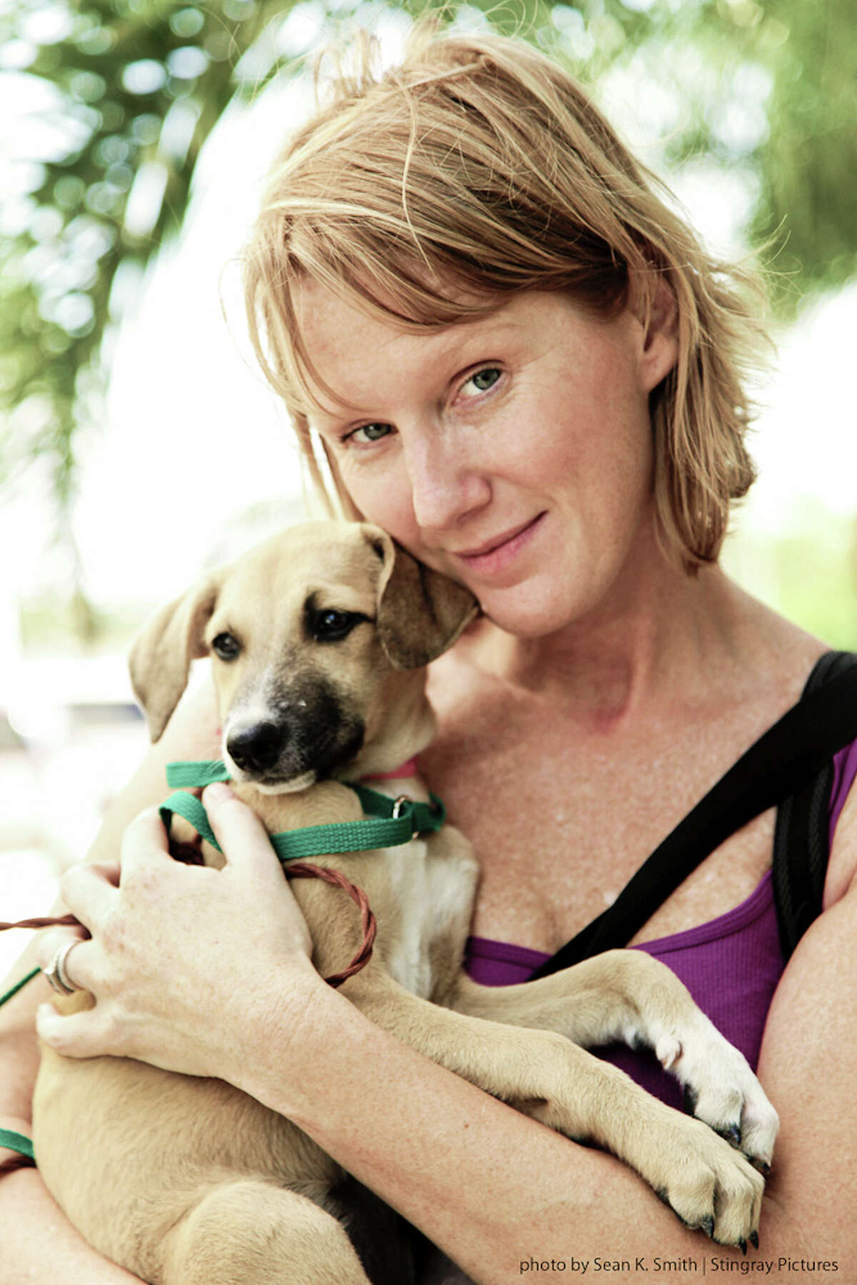 A friend to stray dogs all over