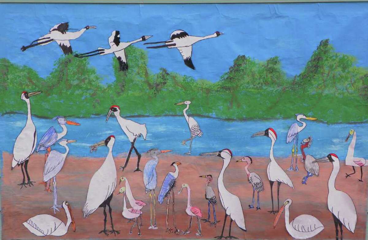 Water ruling favors whooping cranes