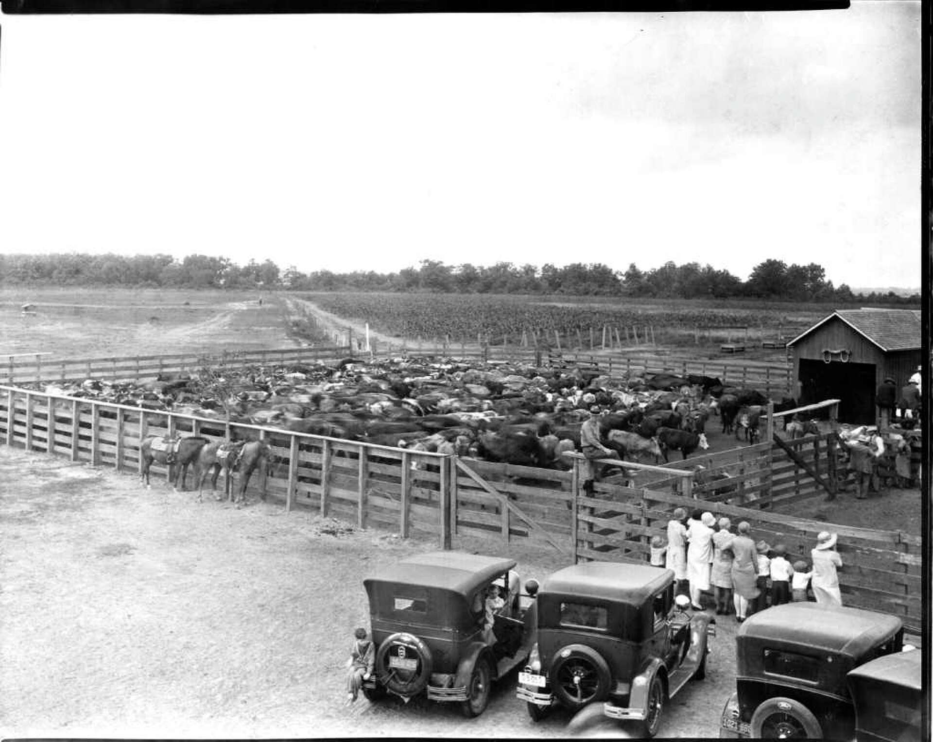 Gray: Houston's last ranch