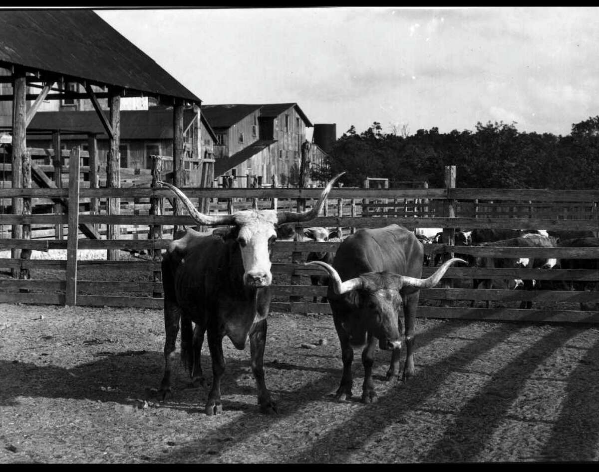 'Lost empire': Video shows how Houston's historic LH7 ranch changed ...