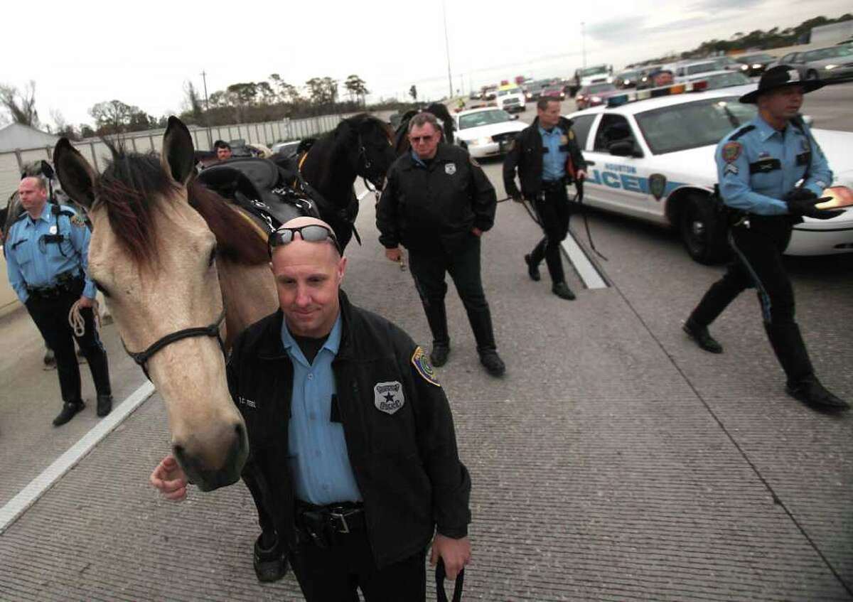 Whoa: Horses snarl traffic on Katy Freeway