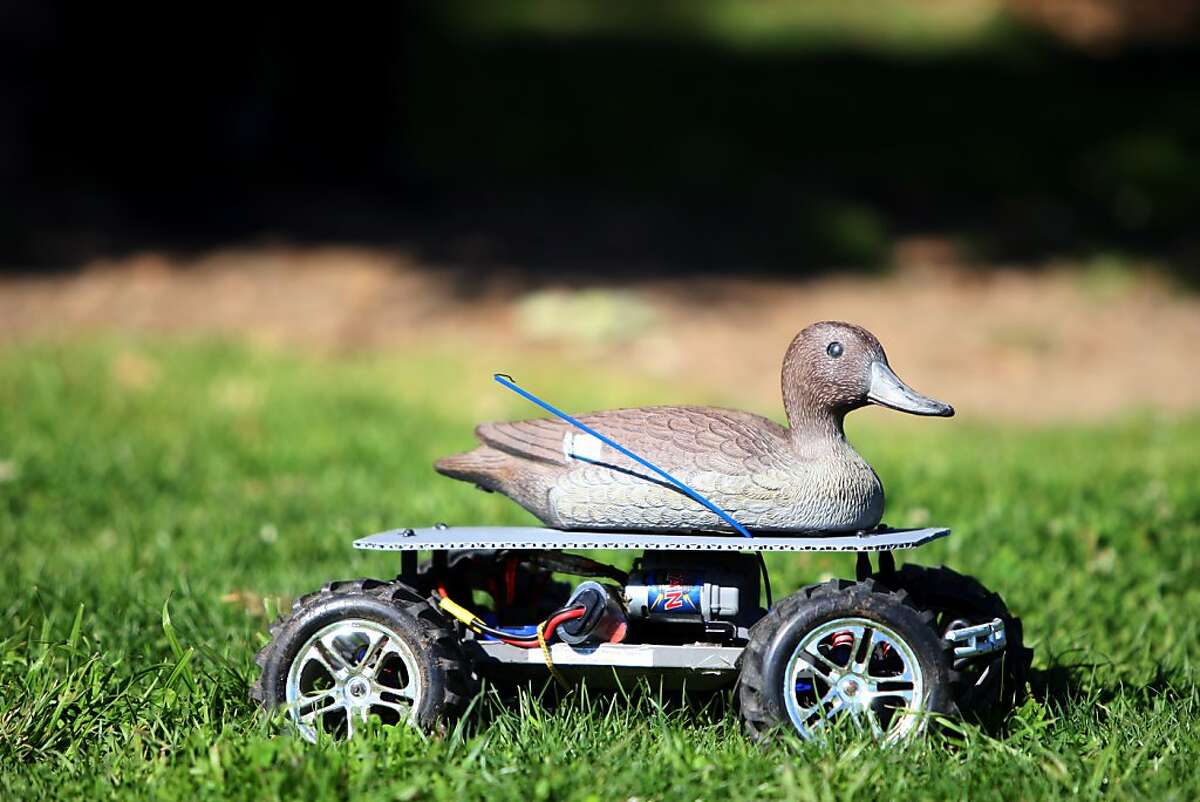 Mechanical ducks elude humans
