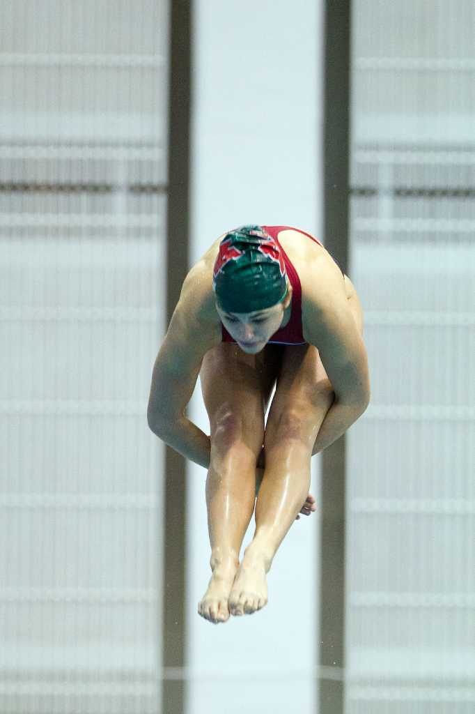 Woodlands diver Cook sets record at state tournament