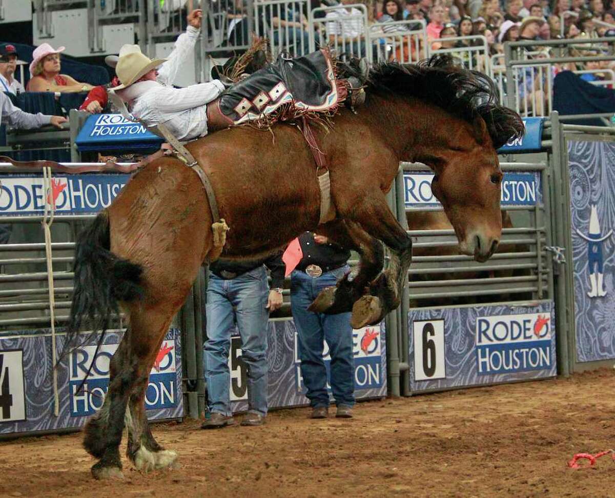 Rodeo goes without sanctioning again after format works