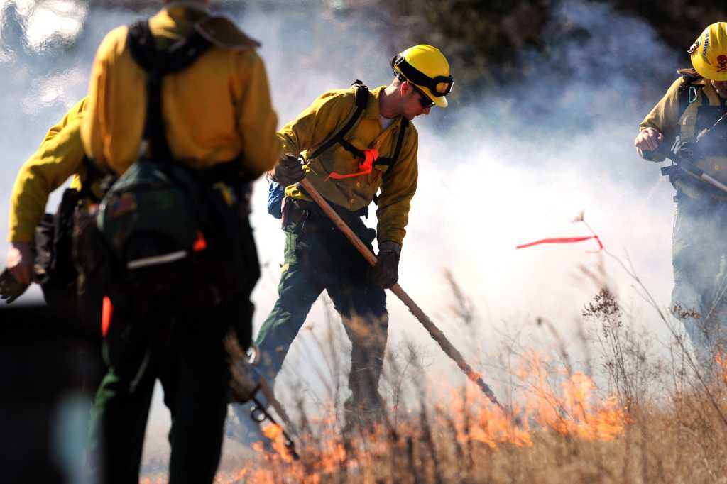 Conservationists set fire for a cause