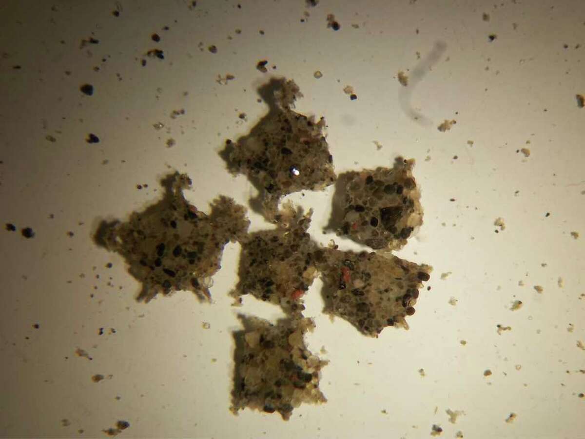 In Antarctica, a meeting place of art and science