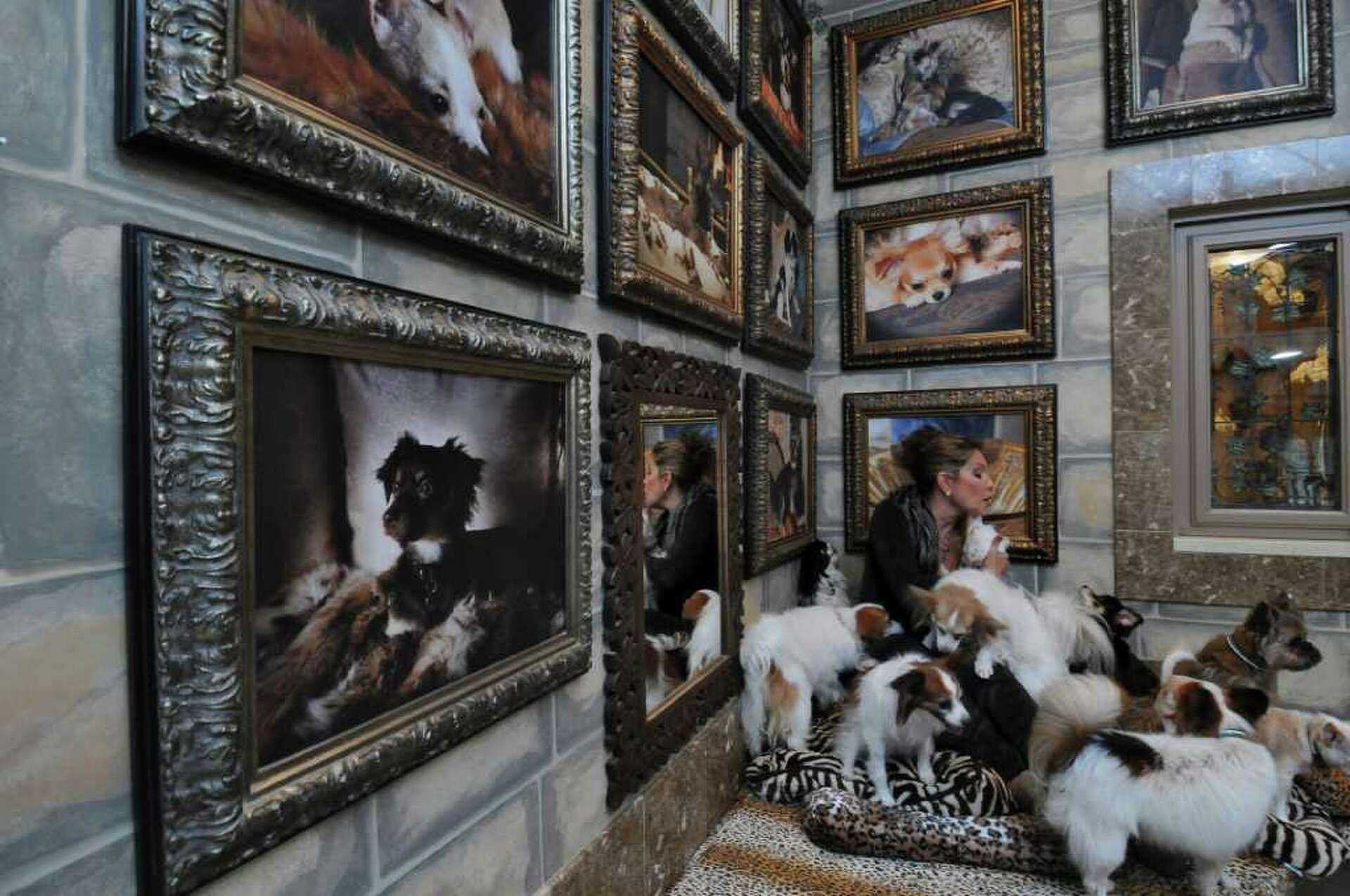 Drama, dogs and diamonds