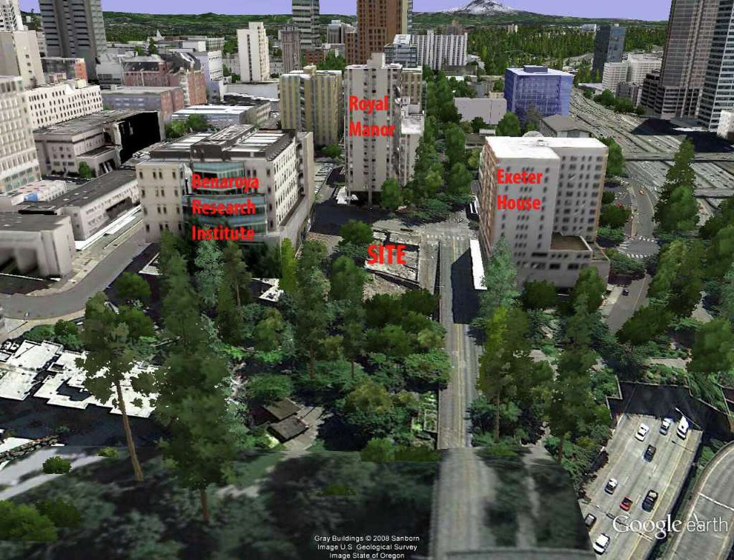 Proposed 300-foot Seattle tower bugs neighbors