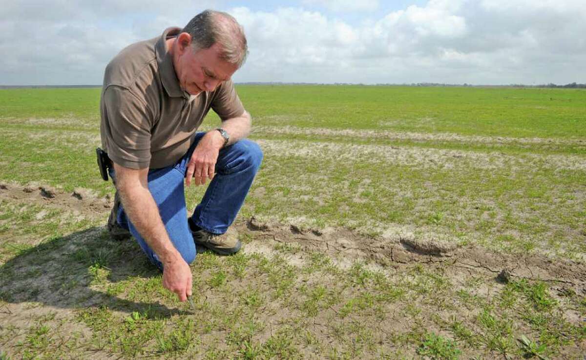 Water is welcome for SETX rice farmers
