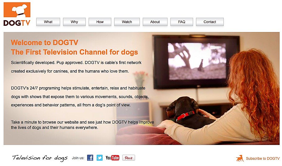 Dog TV plans to expand and charge $4.99 a month