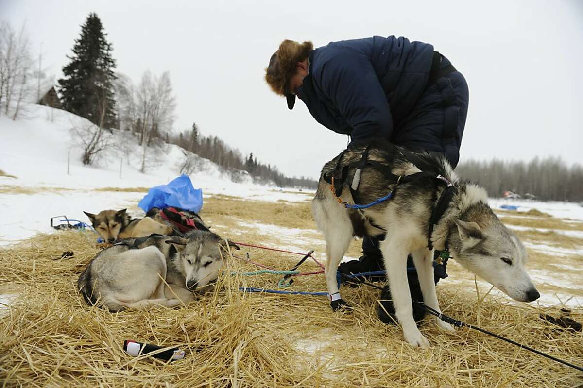Dallas Seavey, 25, youngest winner of Iditarod