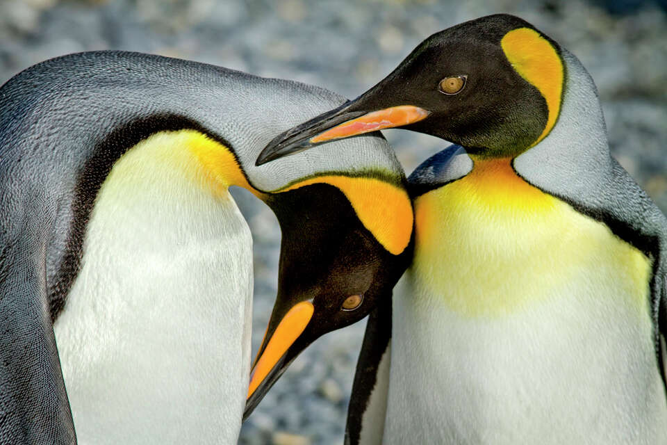 9th Annual Smithsonian Photo Contest