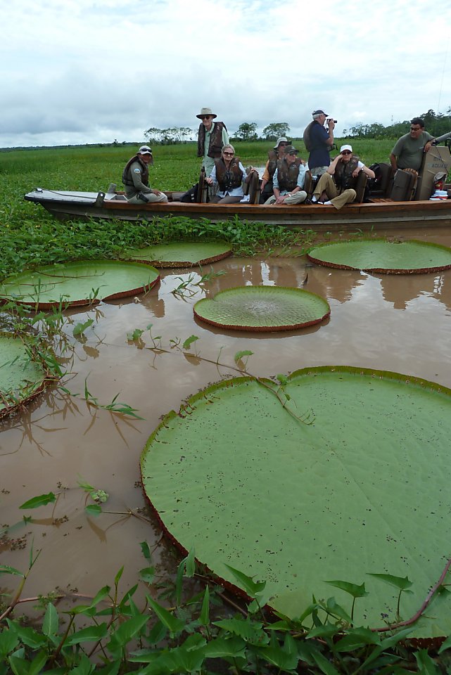 A luxurious cruise on the wild Peruvian Amazon