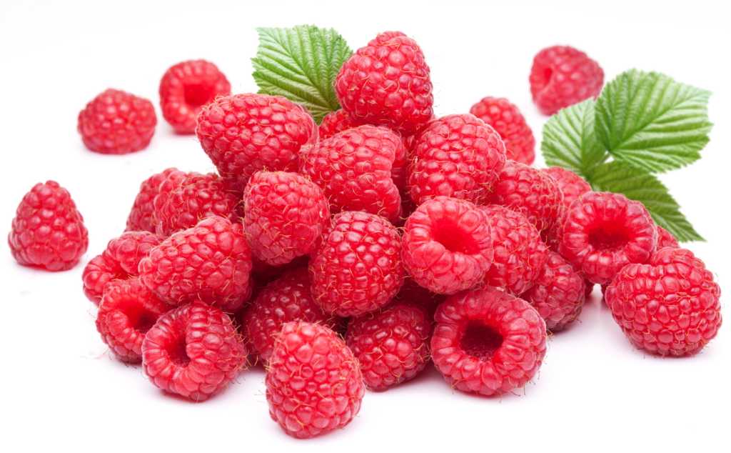 Care and feeding of red raspberries