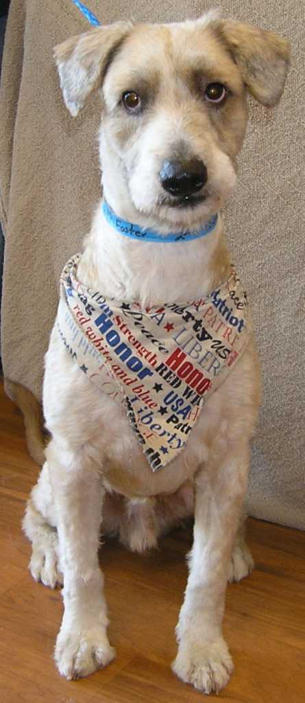 Penthouse Pet of the Week: Benji