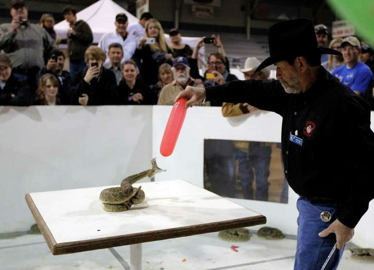 Sweetwater rattler roundup corrals fun by the gross