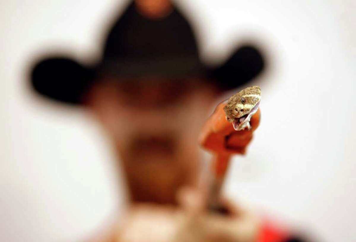 Sweetwater rattler roundup corrals fun by the gross