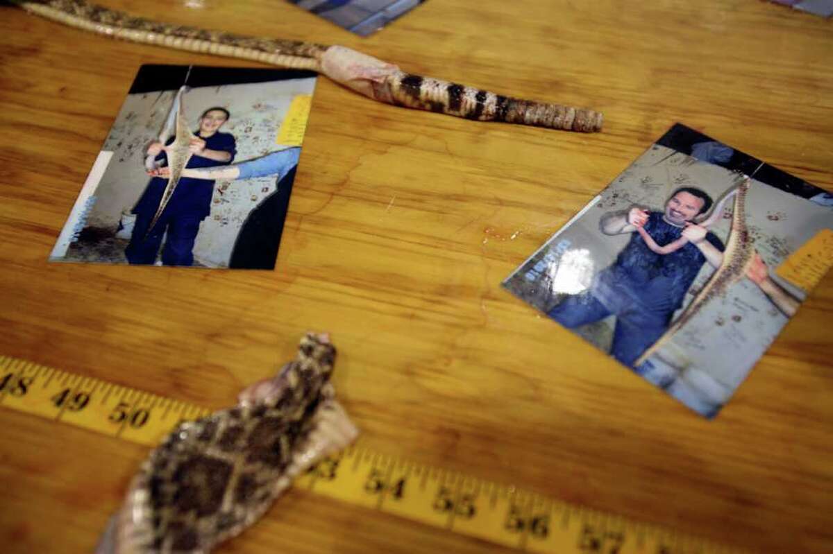 Sweetwater rattler roundup corrals fun by the gross