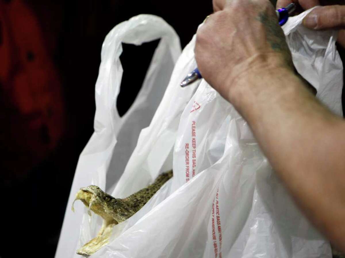 Sweetwater rattler roundup corrals fun by the gross