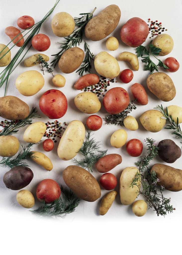 Versatile potatoes adapt to different recipes