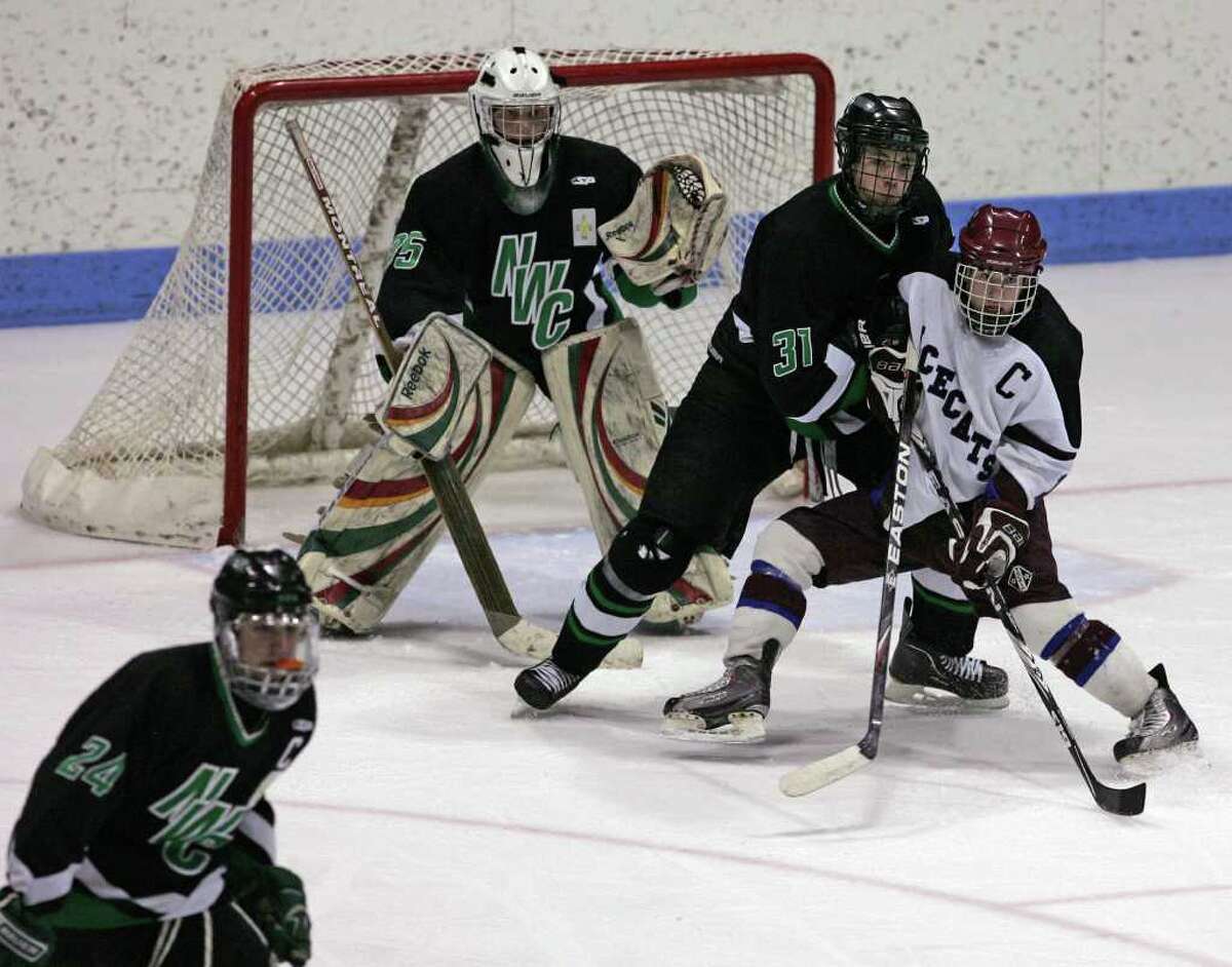 Brookfield/Bethel/Danbury hockey eliminated in Division III semifinals