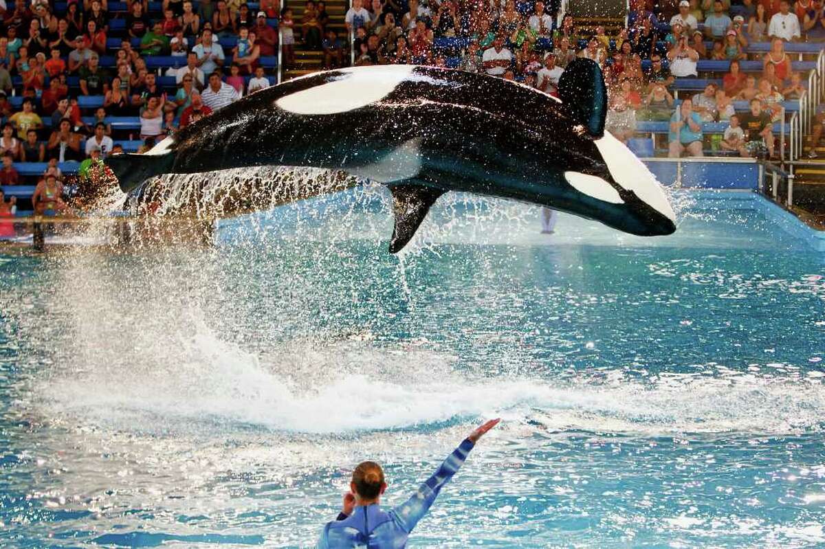 Photographs from early years of SeaWorld San Antonio