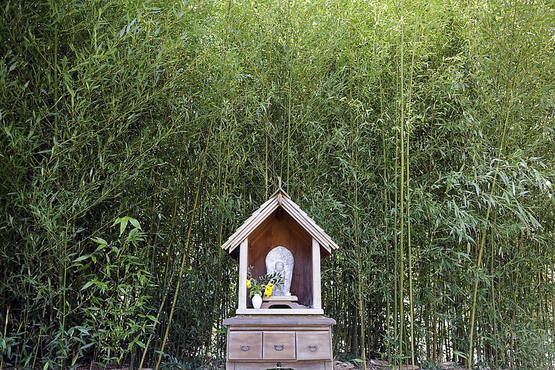 SF Zen Center's 50 years of opening hearts, minds