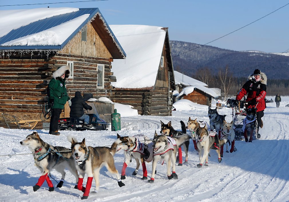 Iditarod Trail Sled Dog Race